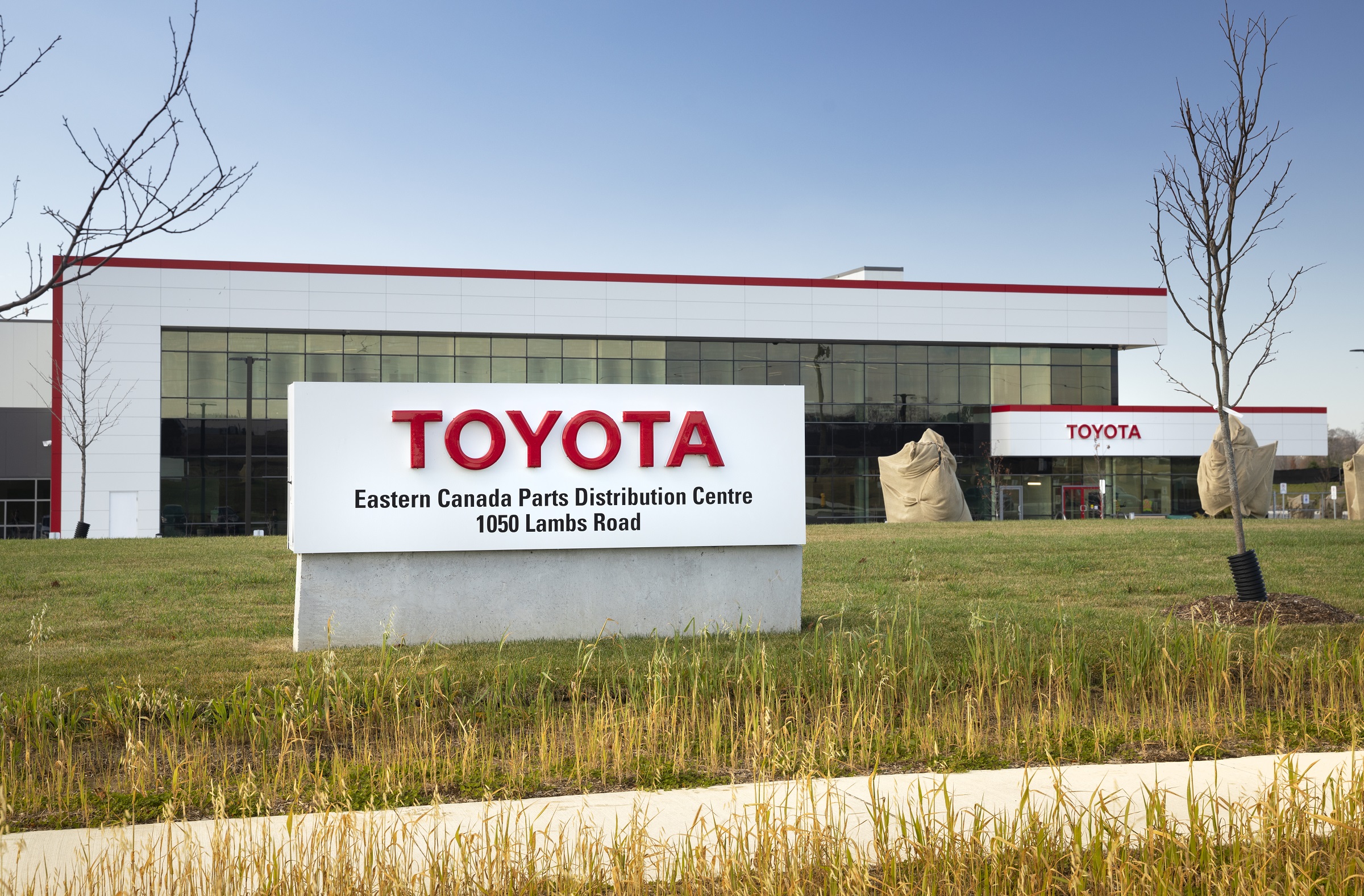 Toyota Plant Entryway 10 Must Have Indoor Plants To Liven Up Your